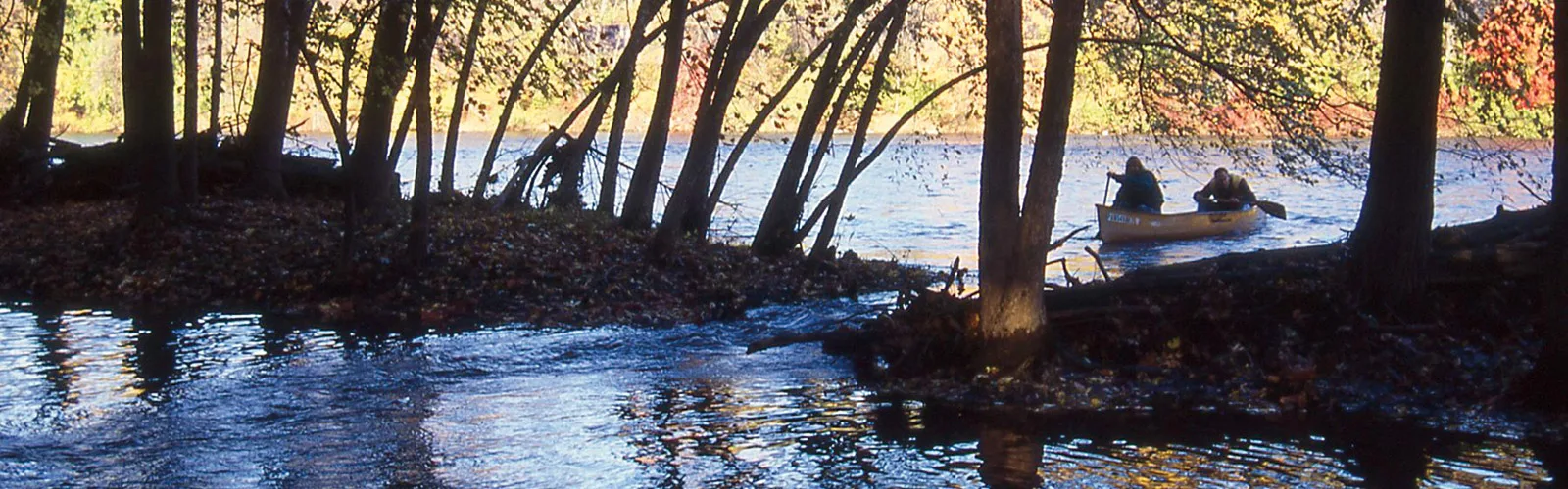 Freeman’s Island - Wildlands Conservancy