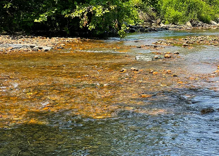 Wildlands Conservancy and Partners Restore Bushkill Creek