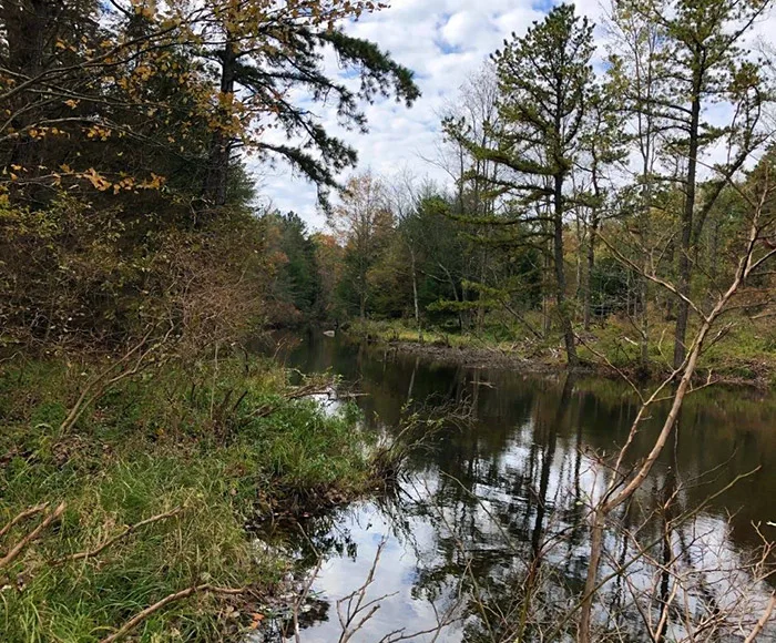Wildlands Conservancy Protects 2,700 acres in Carbon and Luzerne Counties
